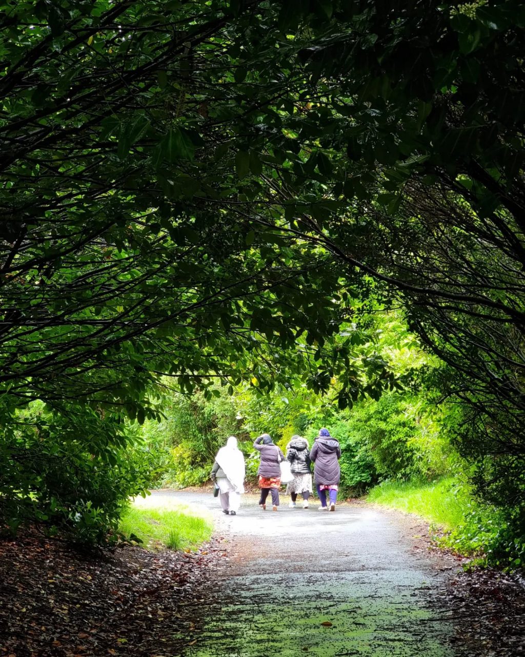 English Walking Project – 4Wings